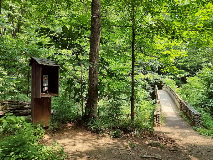 The trailhead beckons with promises of natural wonders ahead—nature's version of "this way to the main attraction" without the neon lights.