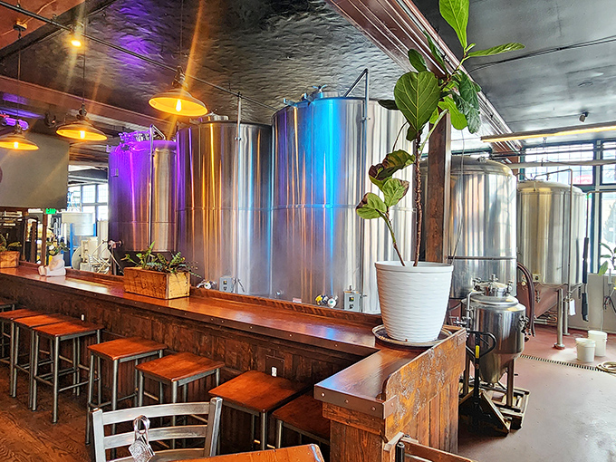 The brewing tanks aren't just equipment—they're modern-day cauldrons of joy. These gleaming vessels are where science and art collaborate to create liquid happiness.