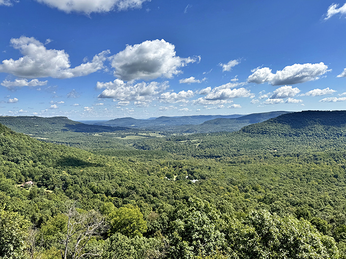 The Arkansas Grand Canyon unfolds below like nature's IMAX theater—a view so spectacular it almost upstages the food. Almost.