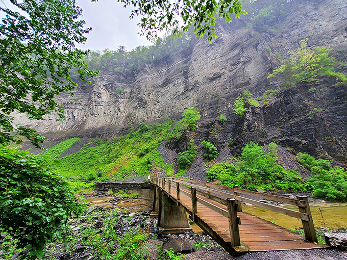 This wooden bridge feels like crossing into a fairy tale setting—halfway expecting to find woodland creatures offering directions to the nearest enchanted waterfall.