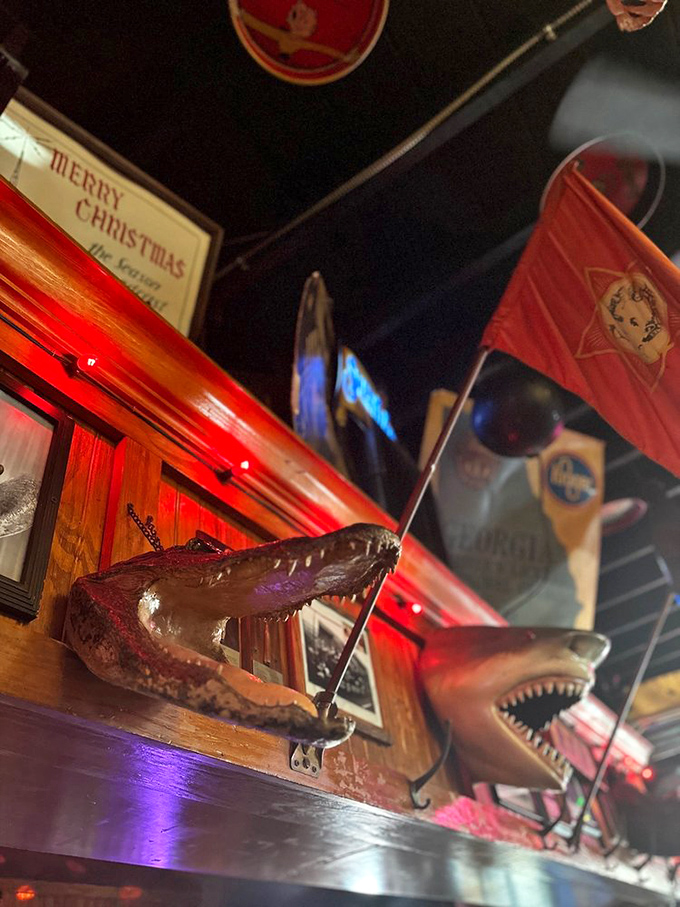 Even the ceiling tells stories. Vintage signs, flags, and yes—that's an alligator head—ensure your eyes never run out of conversation starters.