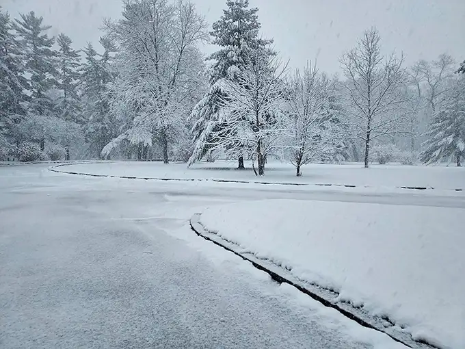 Winter transforms the park into a hushed wonderland where every pine branch becomes nature's own Christmas decoration. Silence never looked so beautiful.