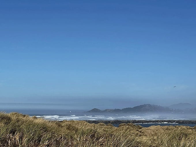 A hiker celebrates the joy of discovery on South Jetty Trail—arms outstretched as if to embrace the coastal wilderness all around.