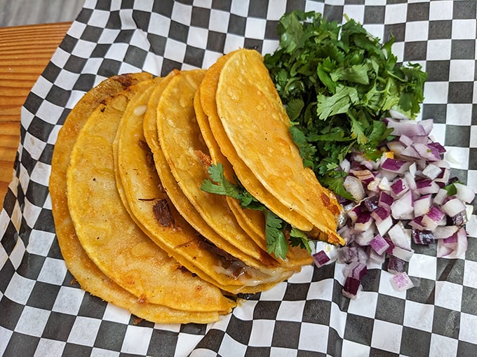 Perfectly charred tortillas reveal the kitchen's attention to detail—these aren't just tacos, they're edible love letters to Mexican culinary tradition.
