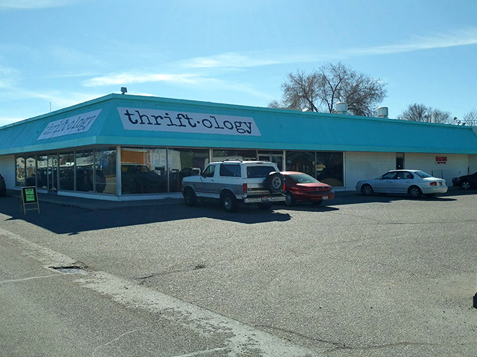 The turquoise beacon of Thriftology beckons bargain hunters like a siren call to sailors of savings.
