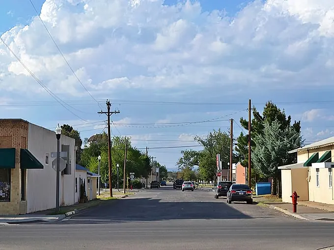 Even the pickup trucks in Alpine seem to move at a more contemplative pace, as if slowing down to admire the blend of frontier spirit and small-town charm.