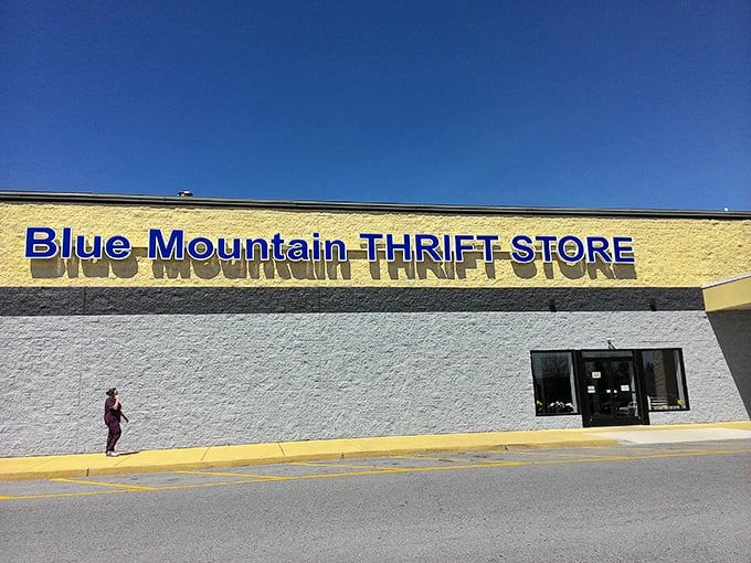 That bold blue sign promises adventure – where yesterday's castoffs become tomorrow's prized possessions.