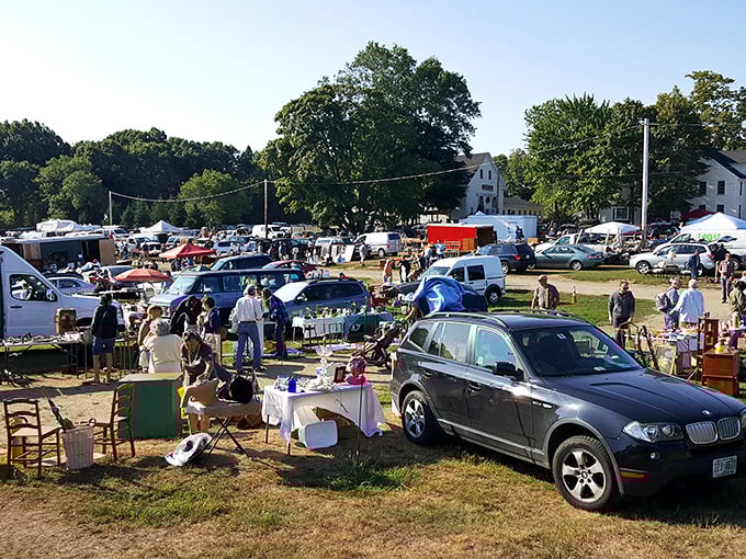 Cars line up as the morning mist rises over Todd Farm, where bargain hunters and storytellers mingle among history's leftovers.