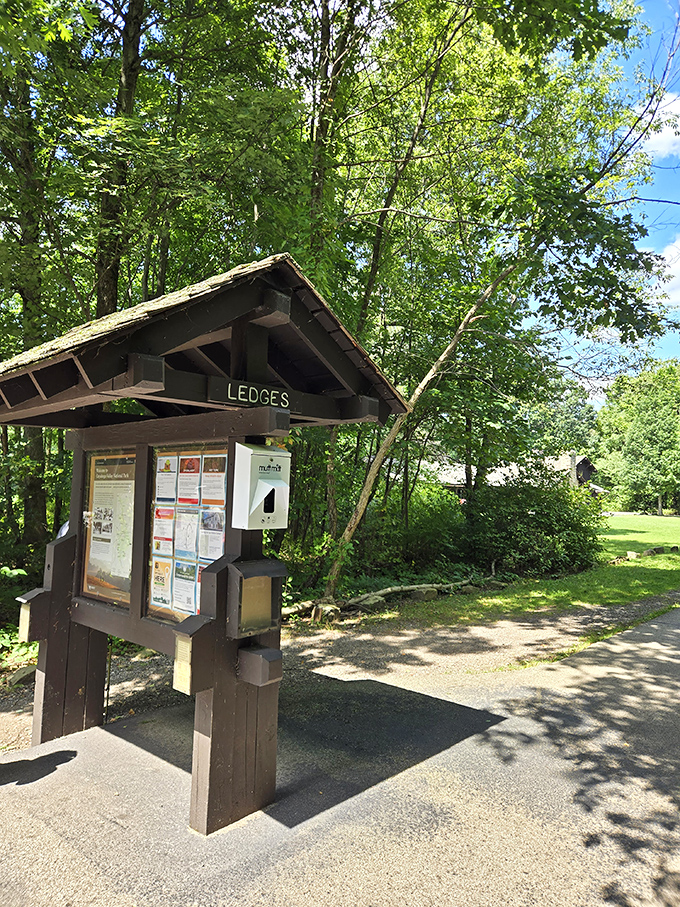 The humble trailhead kiosk – like the unassuming doorway to Narnia, it promises ordinary information but delivers extraordinary experiences just beyond.