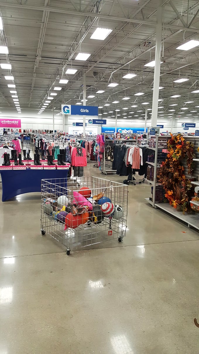 Vast aisles stretch before you like a discount wonderland. The treasure hunt begins where those hanging signs point the way to unexpected finds.