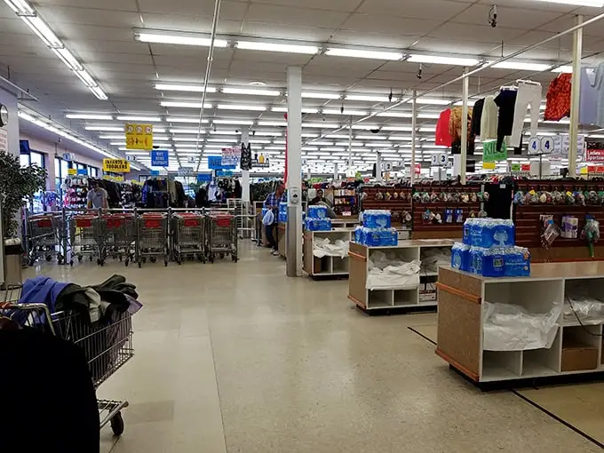 Shopping carts stand ready like chariots for modern-day treasure hunters. The quest begins where the fluorescent lights shine brightest.