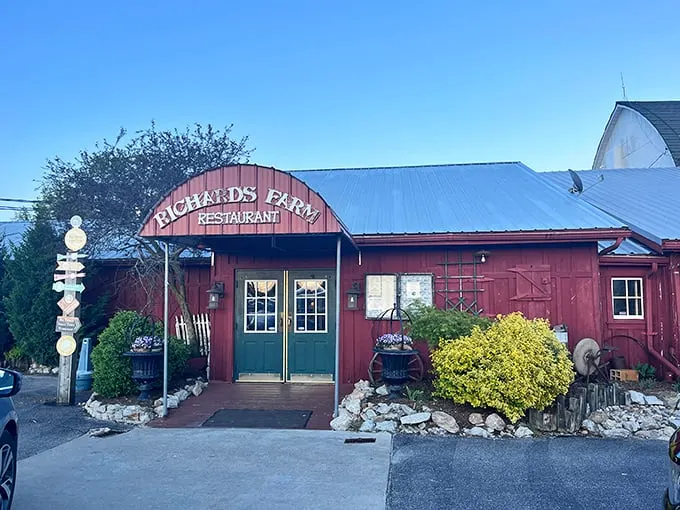 Richards Farm Restaurant isn't just farm-to-table; it's practically farm-at-table. This red barn houses comfort food that would make your grandmother both proud and suspicious.