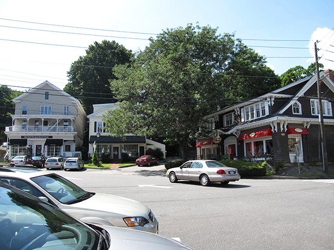 Main Street magic in full summer bloom. These charming storefronts aren't playing dress-up for tourists—they're the real deal, housing local treasures waiting to be discovered.