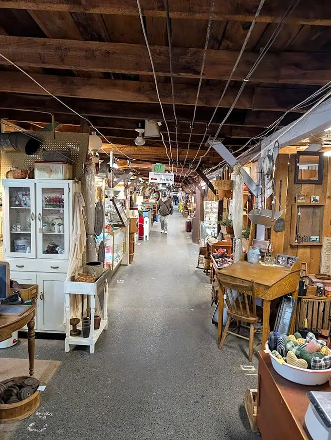 Treasure hunters navigate this indoor wonderland where every aisle promises discovery and every turn might reveal your next conversation piece. 