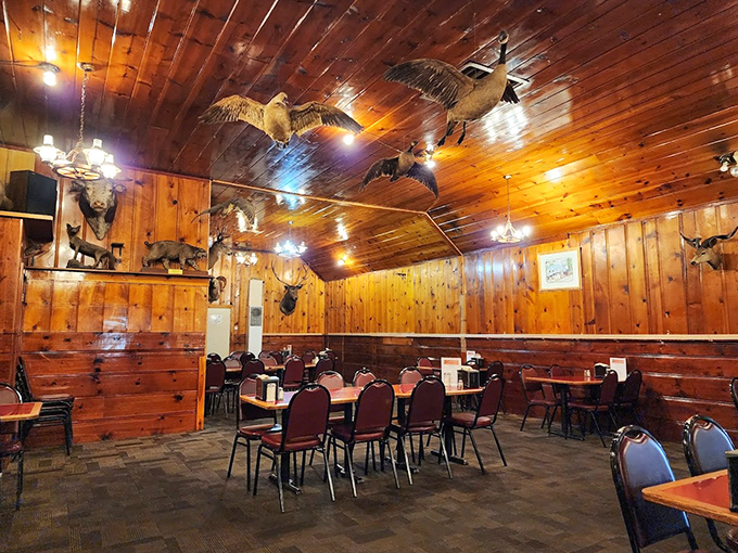 The rustic wooden reception counter welcomes diners with old-school charm – no fancy digital displays here, just genuine hospitality and shelves of curiosities.
