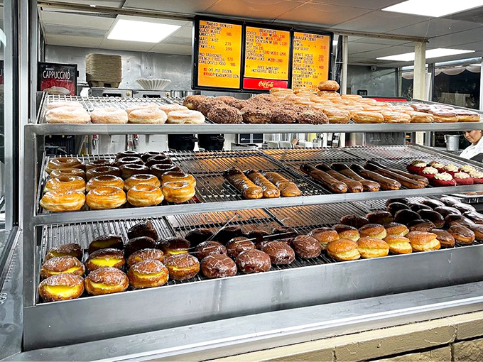 Donut heaven awaits behind the glass—rows of glazed perfection that make choosing just one an existential crisis of the tastiest kind.