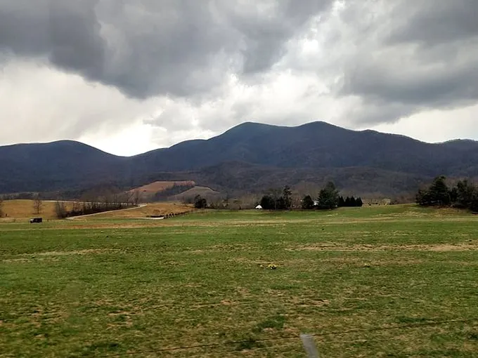 The rolling Blue Ridge Mountains create a breathtaking backdrop that would make Bob Ross reach for his happy little brushes faster than you can say "scenic vista."