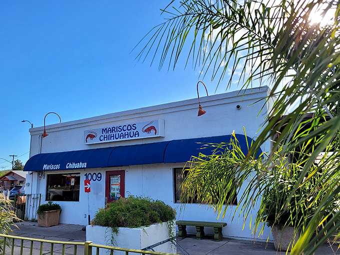 Mariscos Chihuahua's unassuming storefront hides seafood magic within—like finding a pearl in an unexpected oyster.