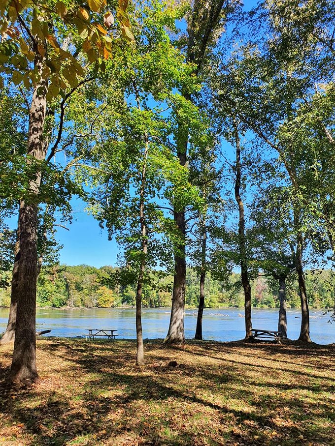 The Catawba's crystal waters put on a daily light show that beats anything Vegas has to offer—and the ticket price is unbeatable.