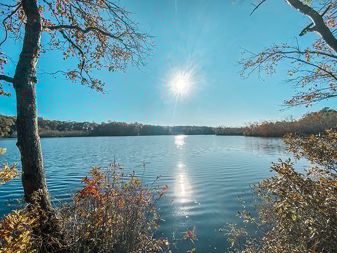 Mother Nature showing off again with that perfect autumn-meets-water composition. Even the sun seems to pause here for a better look.