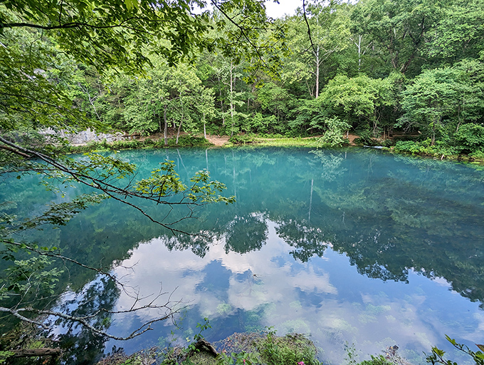 This isn't Photoshop – Alley Spring's otherworldly blue waters might make you check if James Cameron is filming Avatar's next sequel nearby.