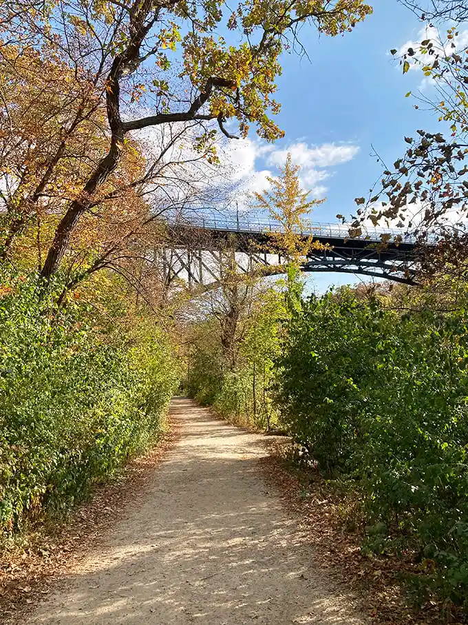 A bridge to somewhere wonderful. The trail curves ahead like nature's invitation to discover what's around the bend.