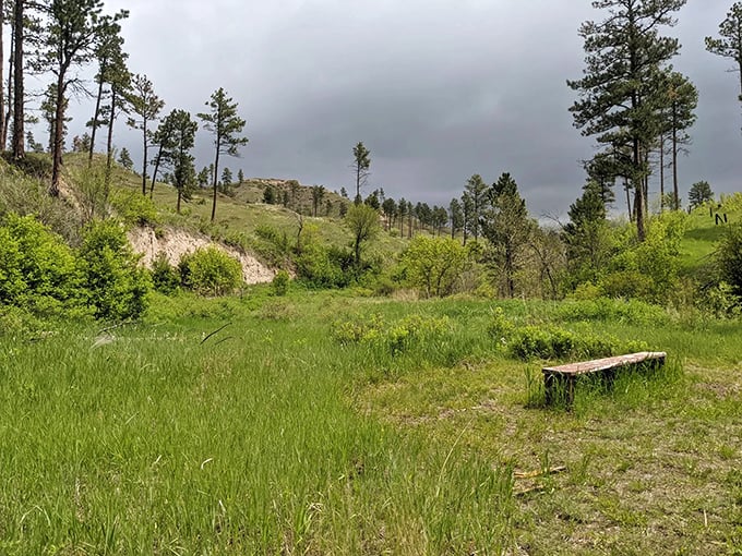 Mother Nature's living room, complete with the most spectacular view. This bench isn't just a rest stop—it's front-row seating to the show.