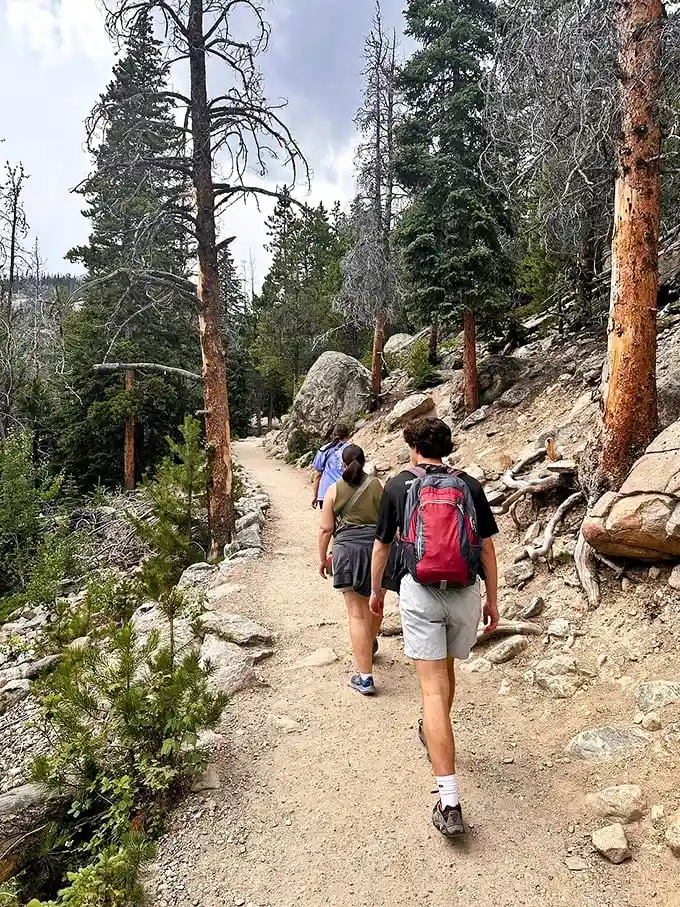 The trail beckons adventurers forward with promises of alpine treasures. No better backdrop exists for those "casual hiking" photos we all pretend were spontaneous.