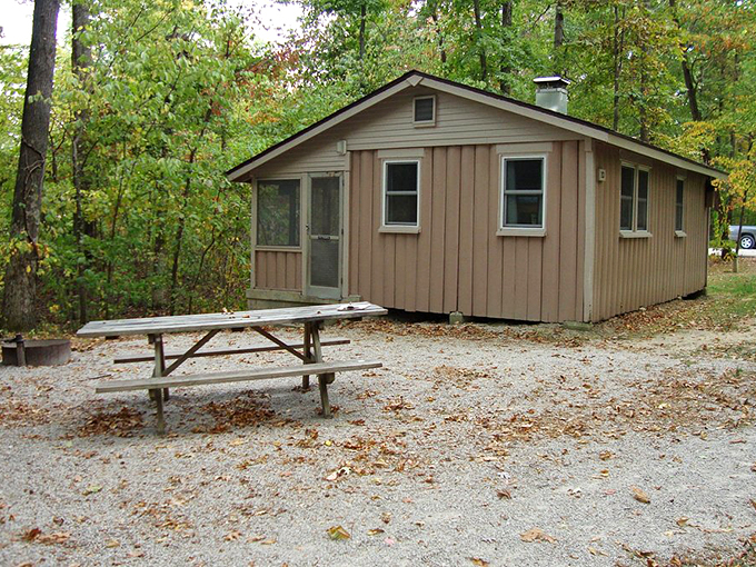 Rustic simplicity that whispers, "Forget your phone charger on purpose." Shakamak's cabins provide just enough comfort without diluting the wilderness experience.
