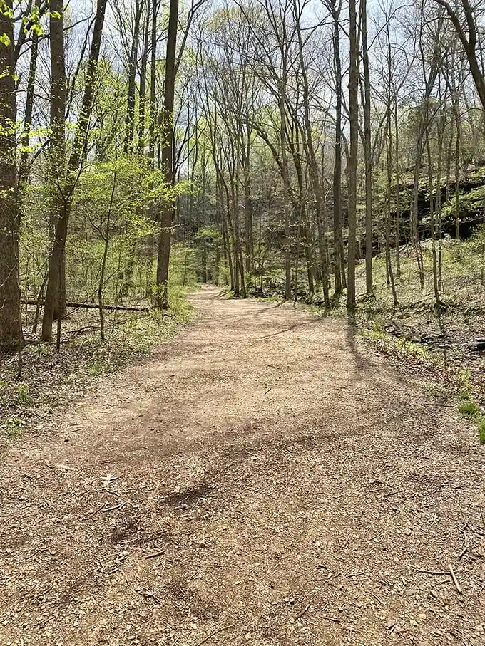 Sunlight dapples this leaf-strewn path like nature's own spotlight system, guiding you deeper into Southern Illinois' geological theater.