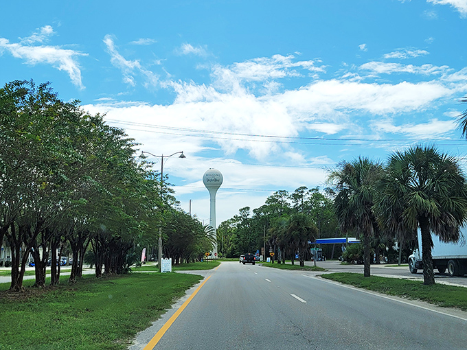 That Dauphin Island sky! Like nature's own masterpiece painting, with palm trees standing guard over roads that lead to hidden beach treasures.