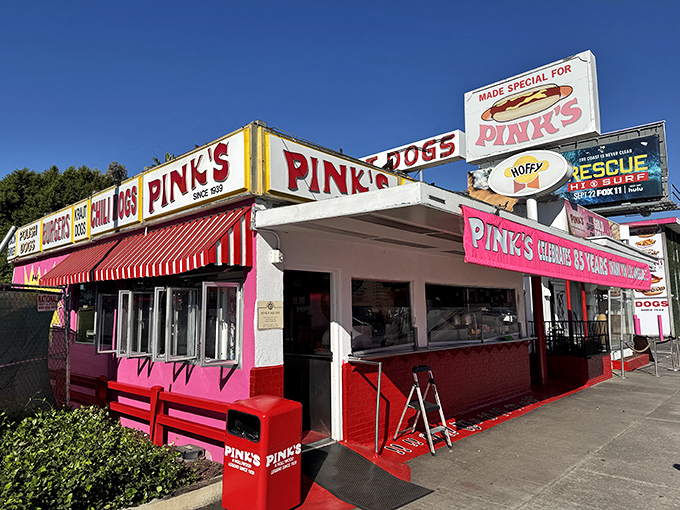 Pink's vibrant facade stands as Hollywood's most democratic landmark – celebrities and civilians alike surrender to chili dog temptation.