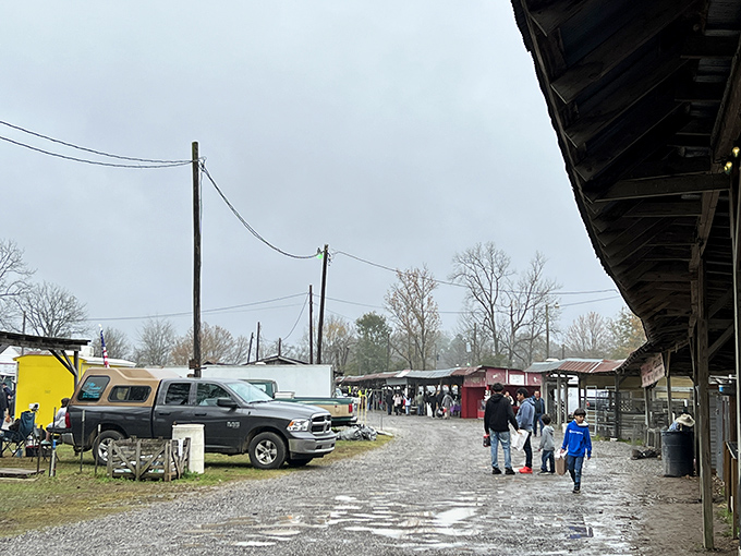 Where Mississippi families have been wheeling, dealing and discovering for generations. The outdoor market experience hasn't changed much – thankfully!