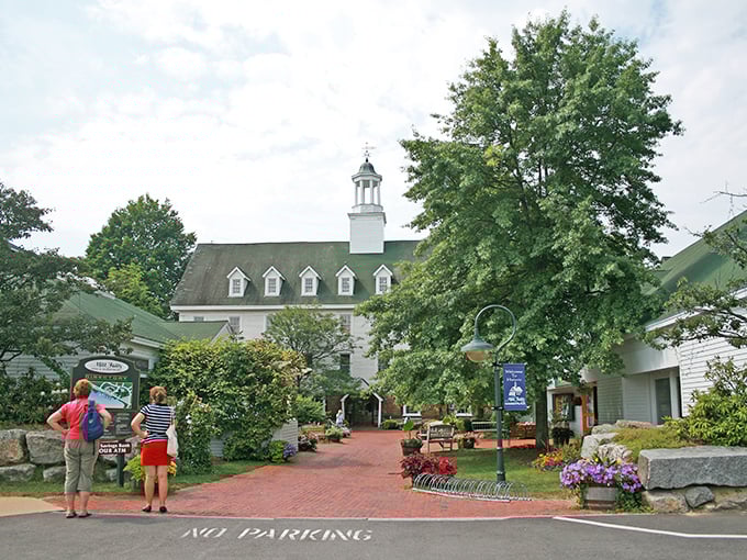 Church steeples and storefronts create Meredith's skyline – a place where "downtown traffic" means waiting for ducks to cross the road.