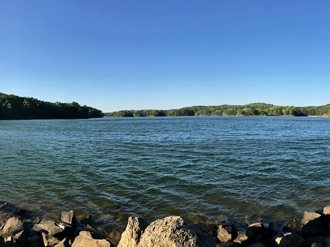 Lake Allatoona stretches like a blue highway through the North Georgia hills, offering postcard views that no filter could improve.