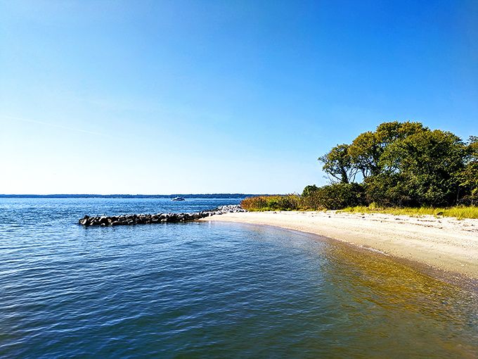 Nature's own welcome mat—this sandy beach offers a perfect spot for contemplation, toe-dipping, or impromptu history lessons with your grandkids.