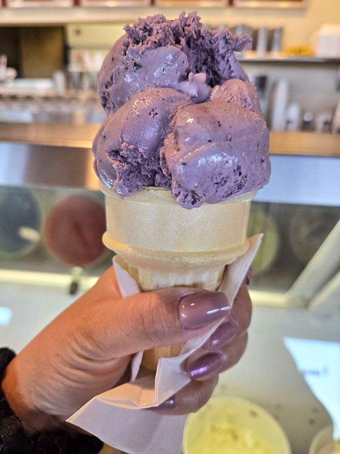 This purple masterpiece isn't just blueberry ice cream—it's summer fruit transformed into creamy, cold perfection. Resistance is futile, my friends.