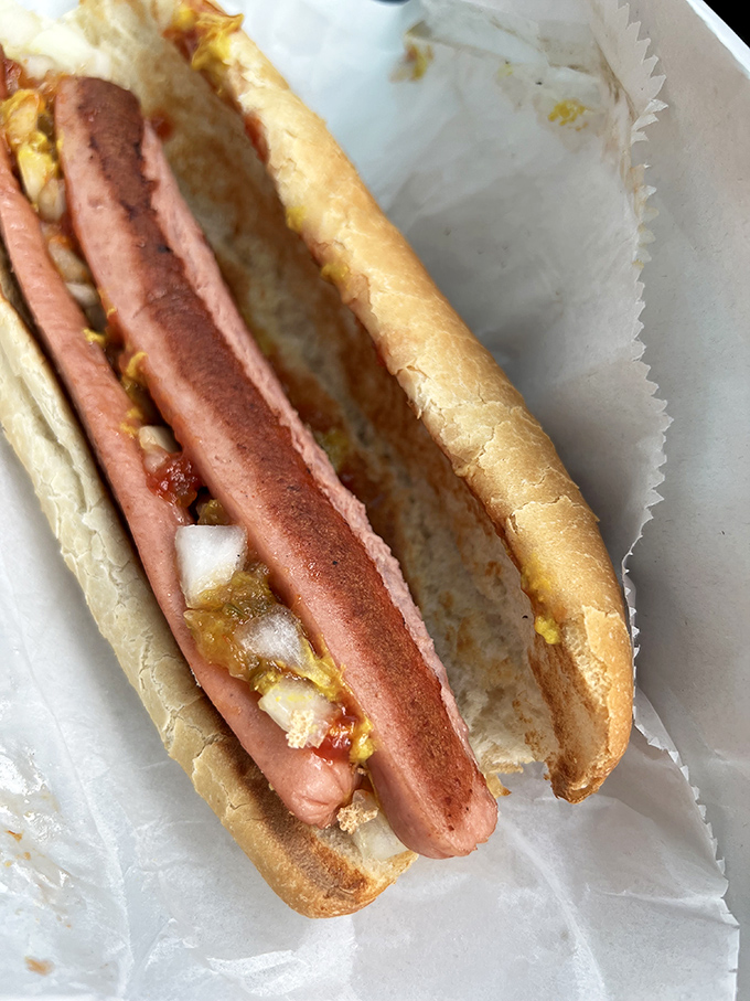 This isn't just a hot dog—it's a masterpiece of balance and texture that makes you question why you'd ever eat anything else.