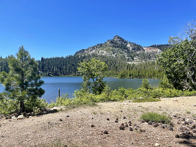 Eureka Lake nestled beneath granite peaks – where the water is so clear you can count fish and your life decisions simultaneously.