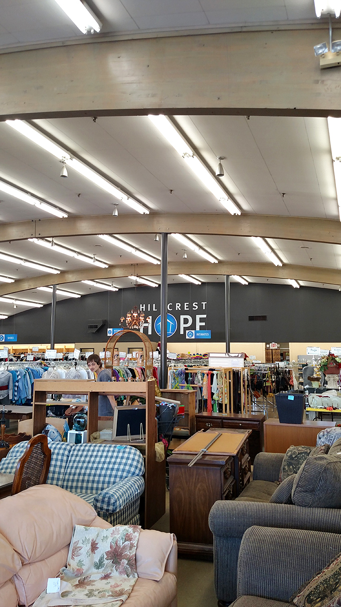 Dave's Discount Den houses an impressive lamp collection that would make any interior designer's heart skip a beat—from elegant to eclectic. 