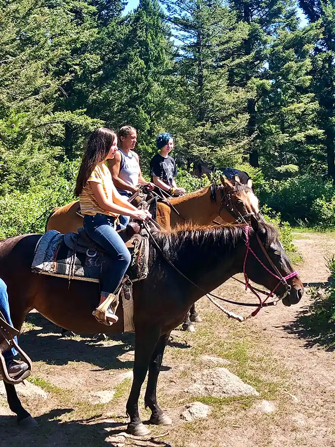 "The outside of a horse is good for the inside of a person." Few things beat exploring pine-scented trails from horseback—nature's original all-terrain vehicle.