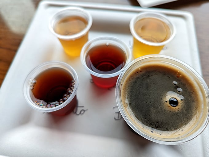 Liquid amber jewels in plastic cups—each sip tells a different story. Like a wine flight for people who don't need to pretend they understand tannins.