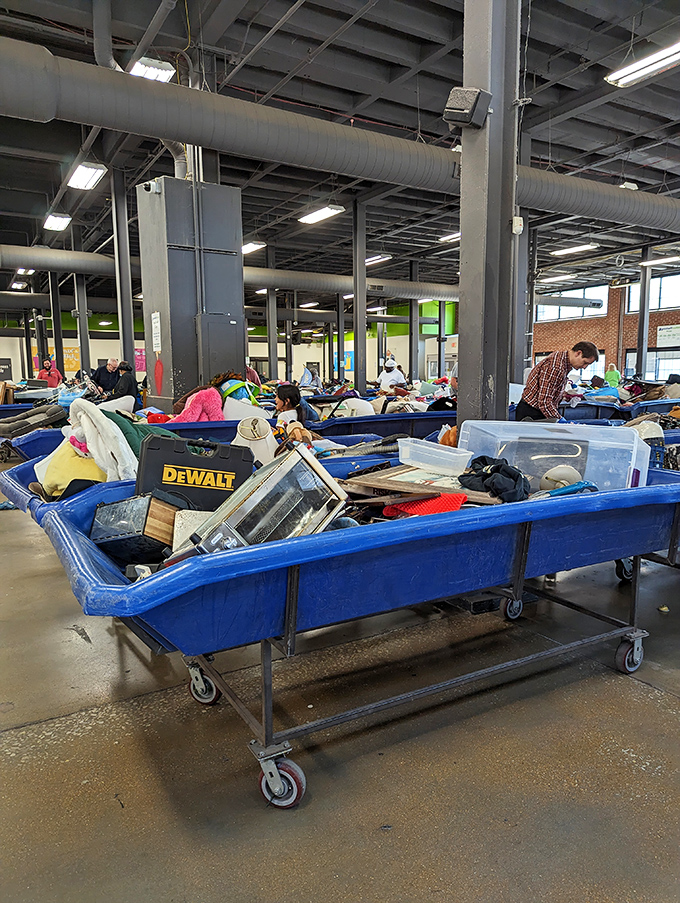 The blue bin safari in full swing – notice the practiced technique of seasoned hunters who've mastered the art of the strategic dig.