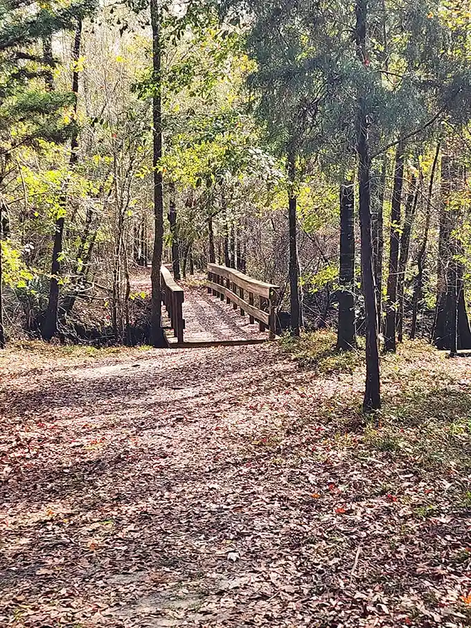 Autumn leaves carpet this woodland path, nature's version of a red carpet premiere. The main attraction? A bridge with more character than most Hollywood celebrities.