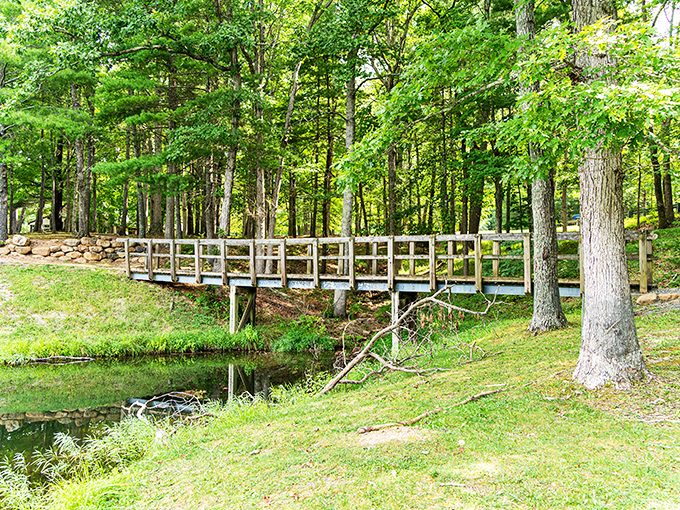 This charming wooden footbridge doesn't just connect two shores—it bridges the gap between everyday life and woodland serenity.