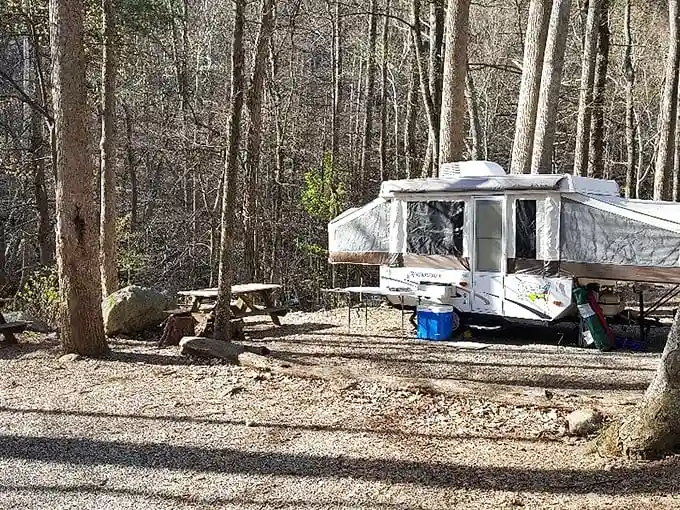 Pop-up paradise! This cozy camping setup brings all the comforts of home to the woods, minus the Wi-Fi addiction and daily news cycle.