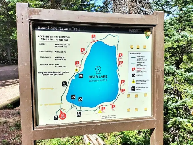 The trail map: spoiler alert for your wilderness adventure. At half a mile, it's the rare hike where your snacks might actually make it to the end.