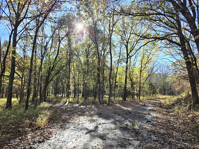 Dappled sunlight plays hide-and-seek along the trail, creating nature's own light show as you wander through the Cross Timbers.