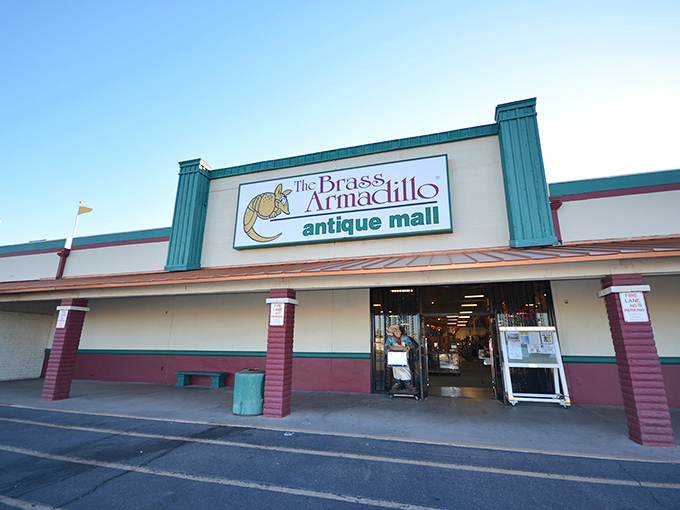 The Brass Armadillo's whimsical mascot has greeted generations of collectors. That iconic yellow armadillo has witnessed countless "I can't believe I found this!" moments.