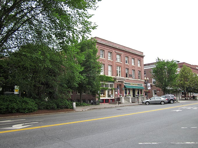 Hanover blends collegiate sophistication with small-town ease – where even the brick buildings seem to have PhD's.